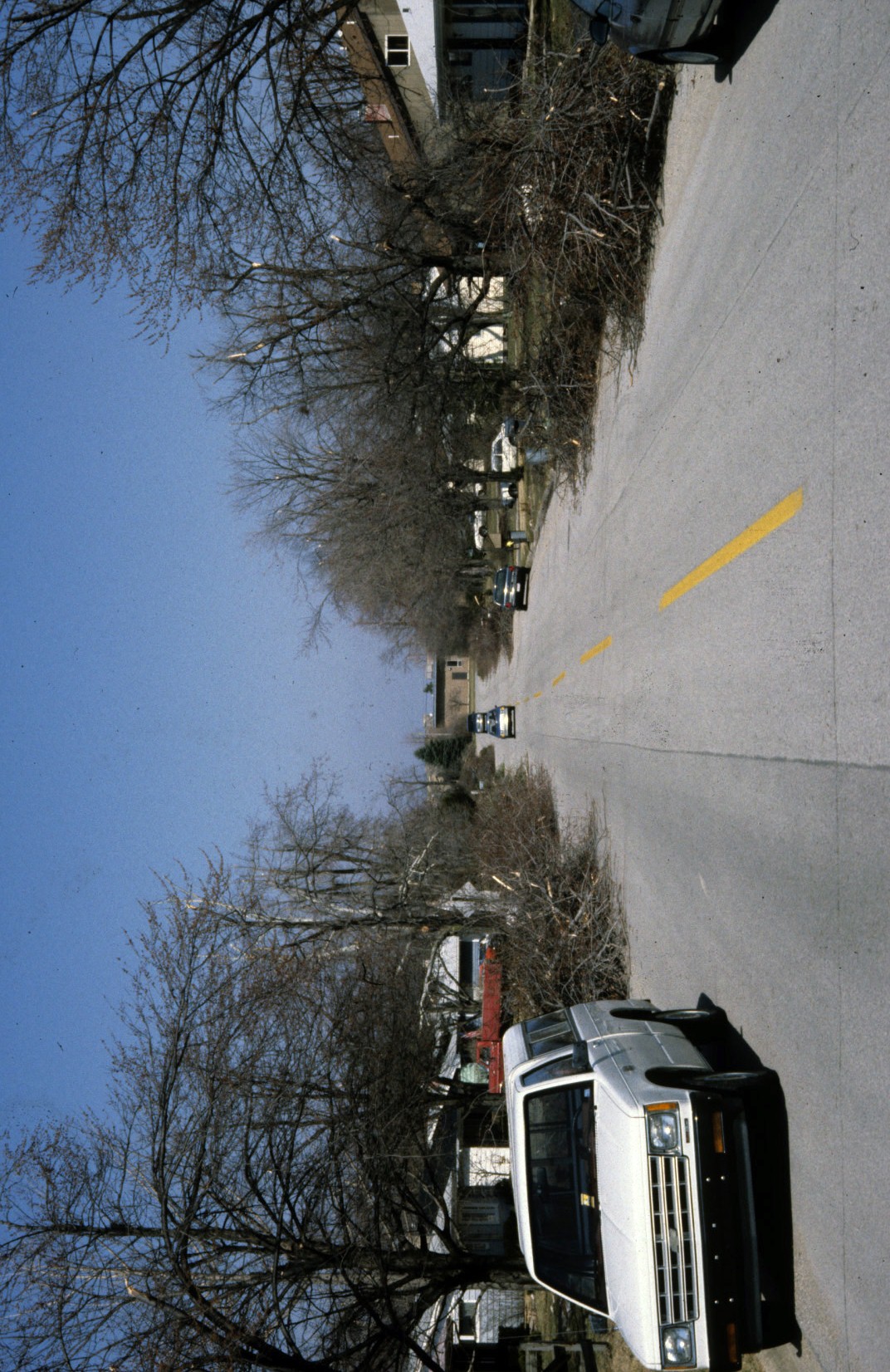 Identify and Manage Ice Damage on trees and shrubs